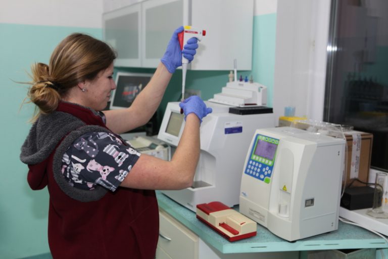 Hypoadrenokorticismus (Addisonova choroba), ochorenia psov a mačiek